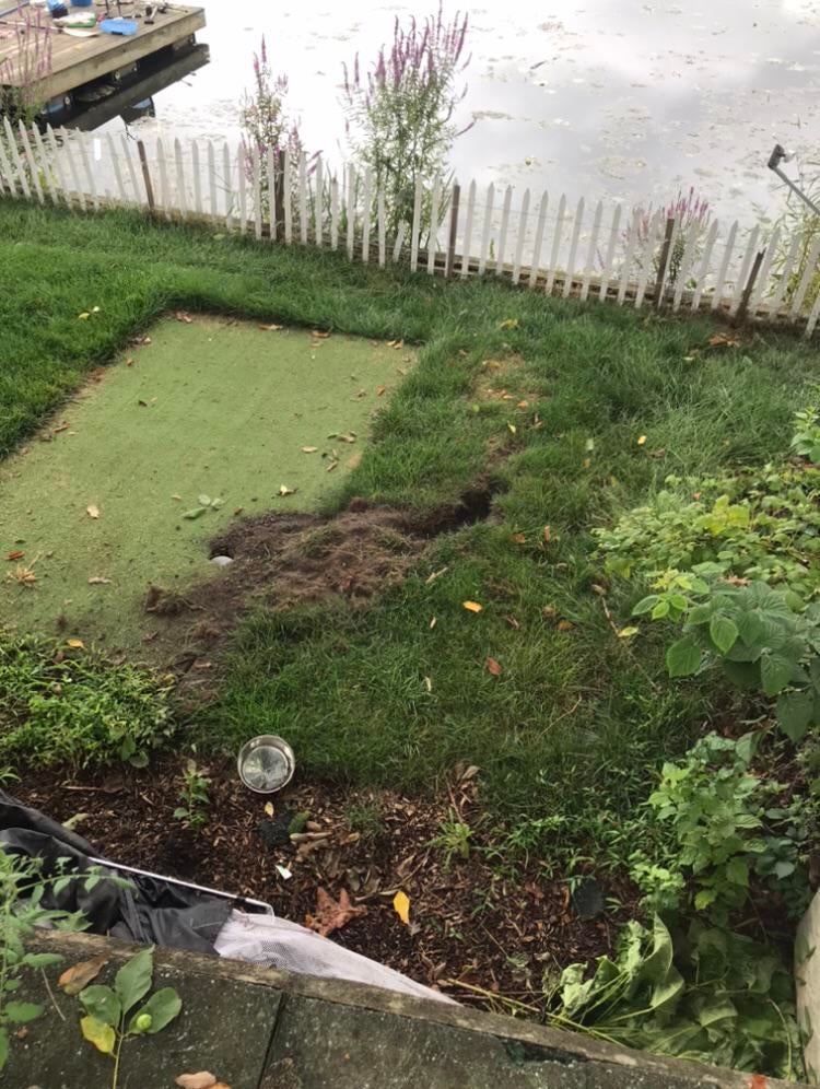 Finally finished my putting/chipping area... - FOGOLF - FOLLOW GOLF