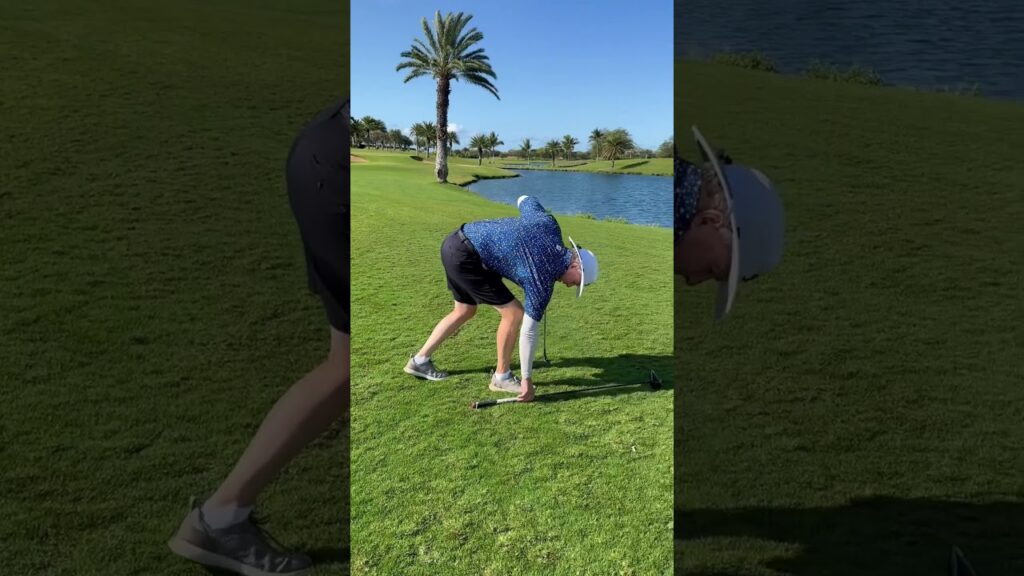 Golf rules | free drop for obstruction in golf - FOGOLF - FOLLOW GOLF