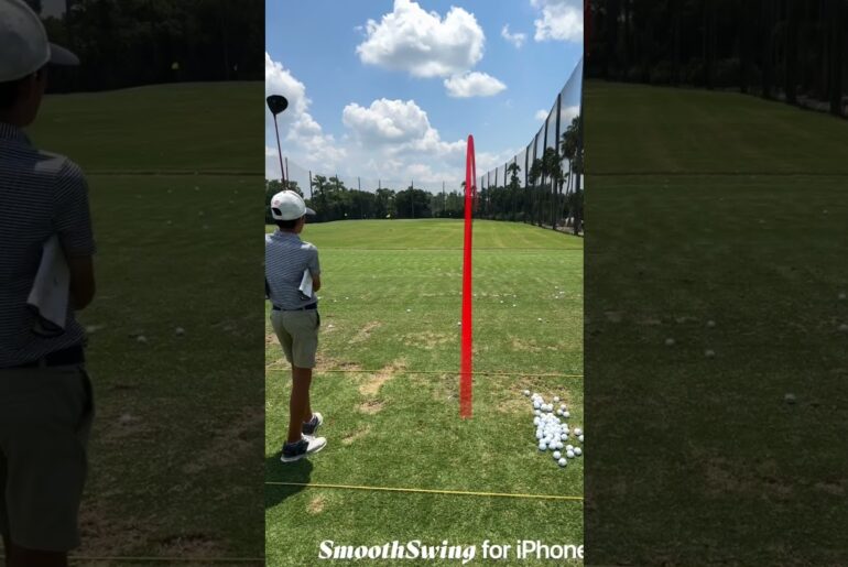 SECONDARY TILT: Scapula Engagement 'The Box', Neutral Grip, Alignment ...