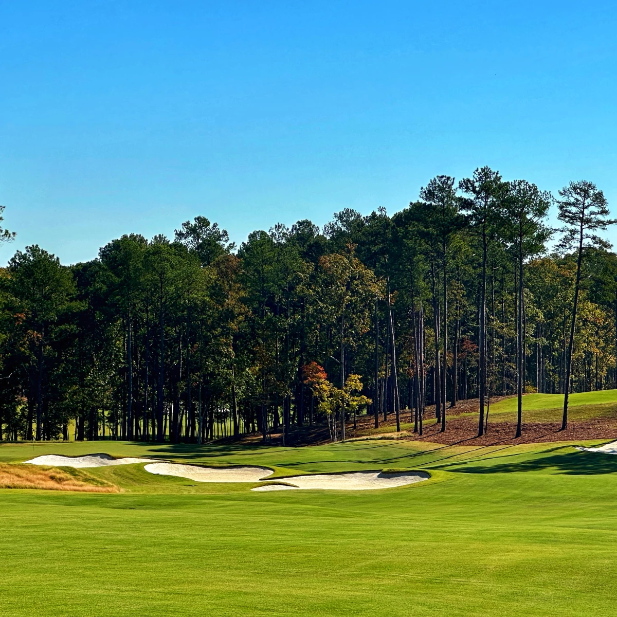 Reynolds Lake Oconee's new Richland routing blends old and new: Golf ...