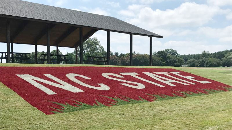 TurfNet's top 10 stories from 2024 - News - FOGOLF - FOLLOW GOLF