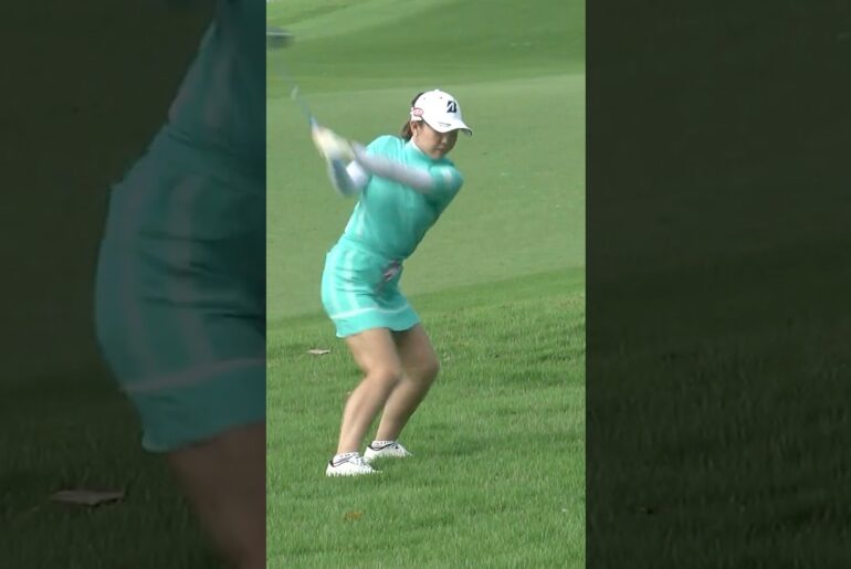 BackSwing Golf Events - FOGOLF - FOLLOW GOLF